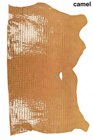 Camel Skin Texture