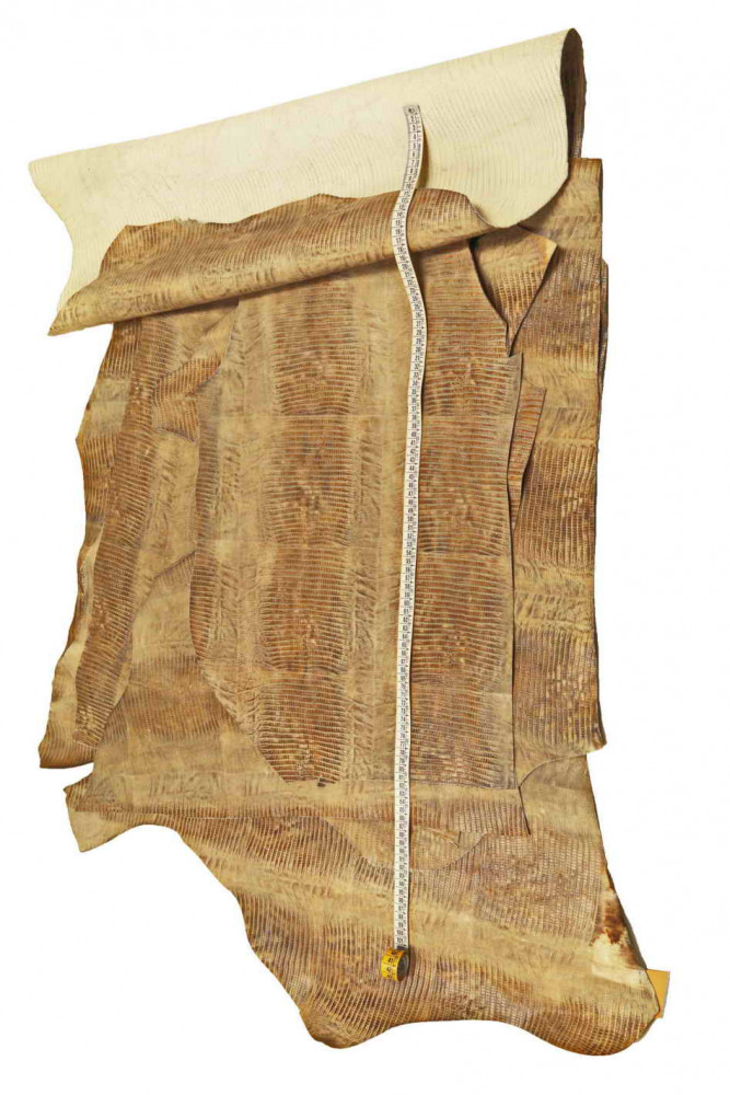 LIZARD PRINTED leather hide, beige tejus embossed calfskin, loght brown ...