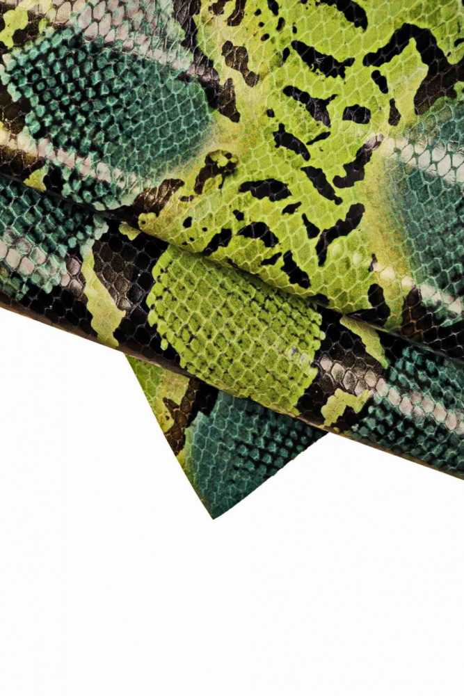 Black And Green Python