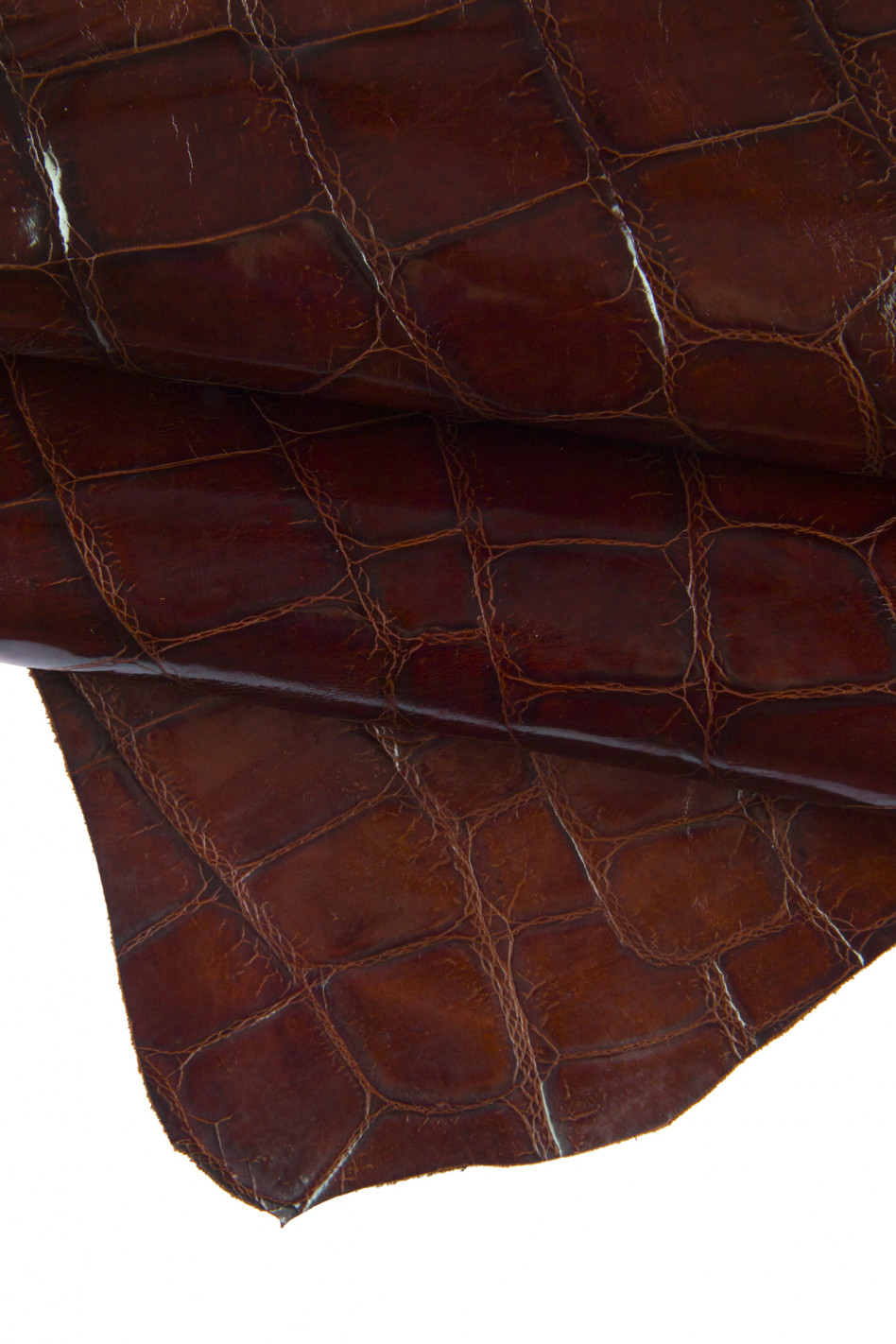 Crocodile EMBOSSED leather hide, brown glossy cowhide with light ...