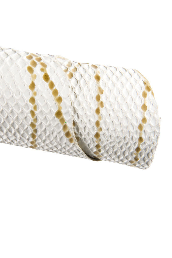 WHITE PYTHON embossed leather skinwith beige sketch print, reptile ...