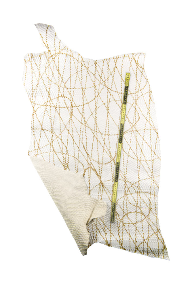 WHITE PYTHON embossed leather skinwith beige sketch print, reptile ...